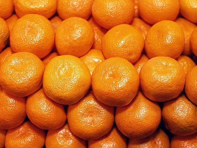 Morocco sets new seasonal record for mandarin exports to Germany ...