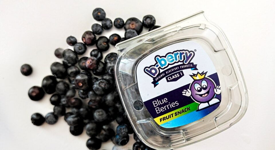 "Blueberry-52" - a unique berry project from leading blueberry ...