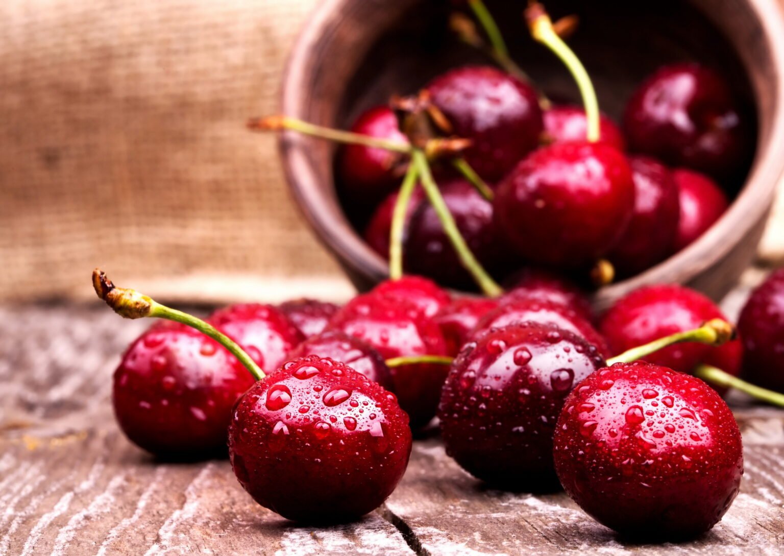 Sweet Cherries: Top 15 World's Sweetest Varieties for Highest Profits ...
