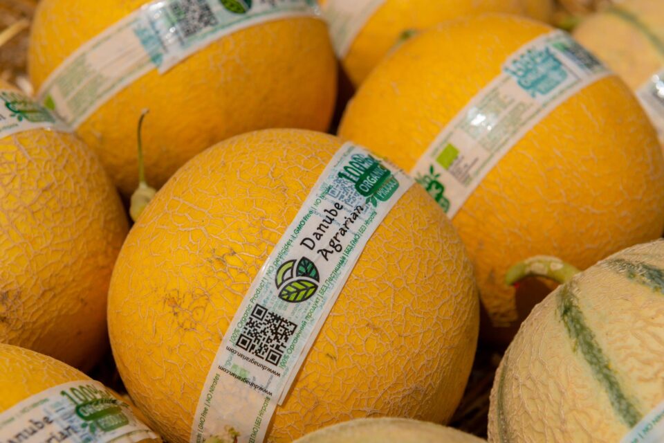 Top 3 organic producers of vegetables and fruits in Ukraine • EastFruit