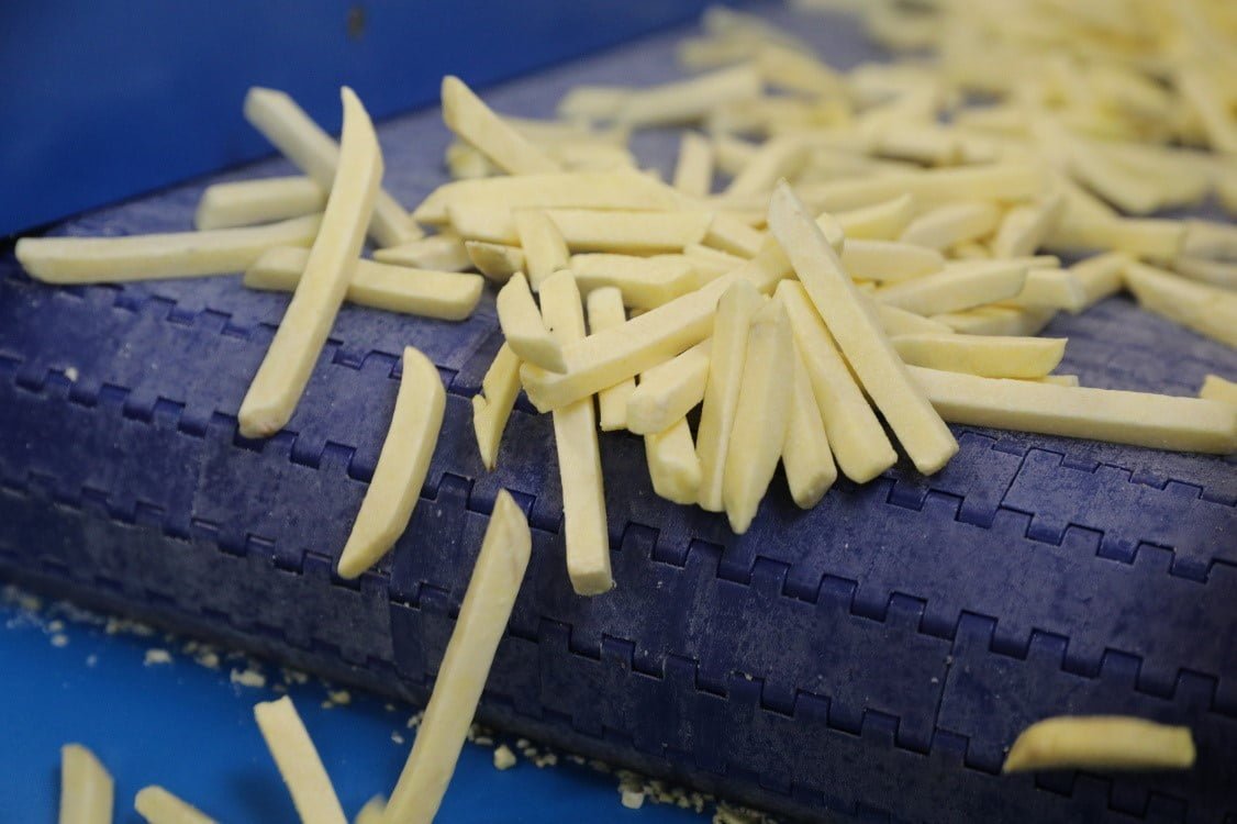 Hidden dragon emerges: China’s frozen fries go global • EastFruit