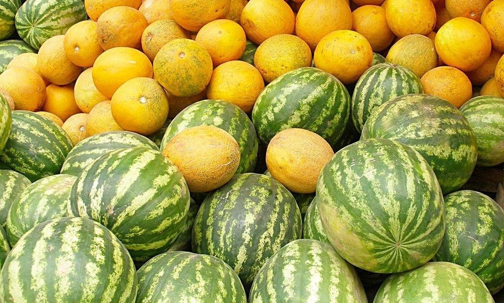 In Germany and France, the demand for melon and watermelon continues to ...