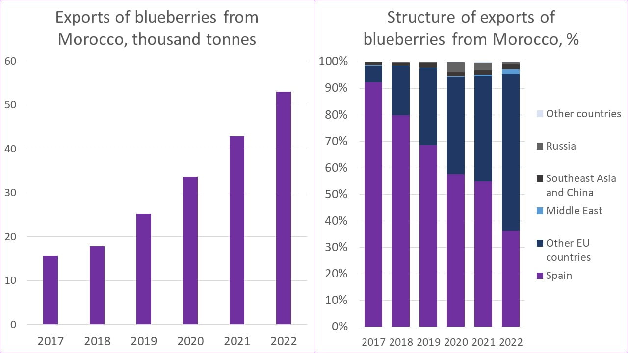 Morocco has overtaken the US in blueberry exports to become the world's ...