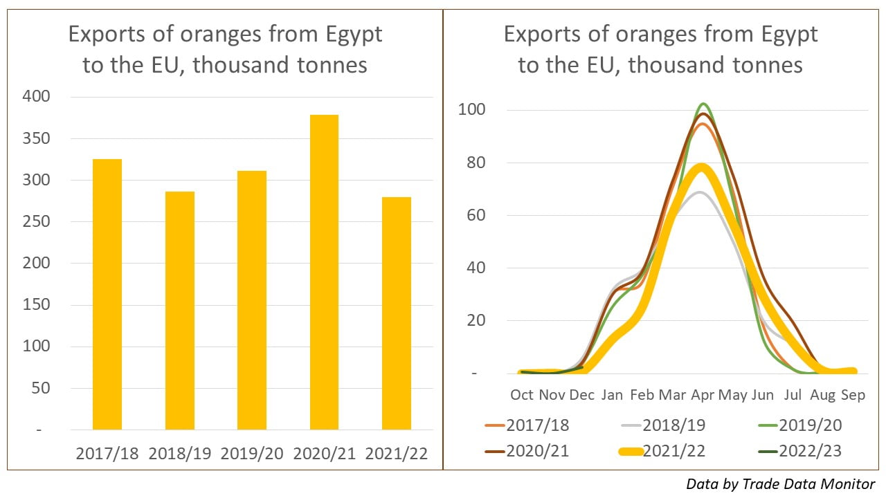 Egypt reduces exports of oranges to the EU due to unfavorable weather ...