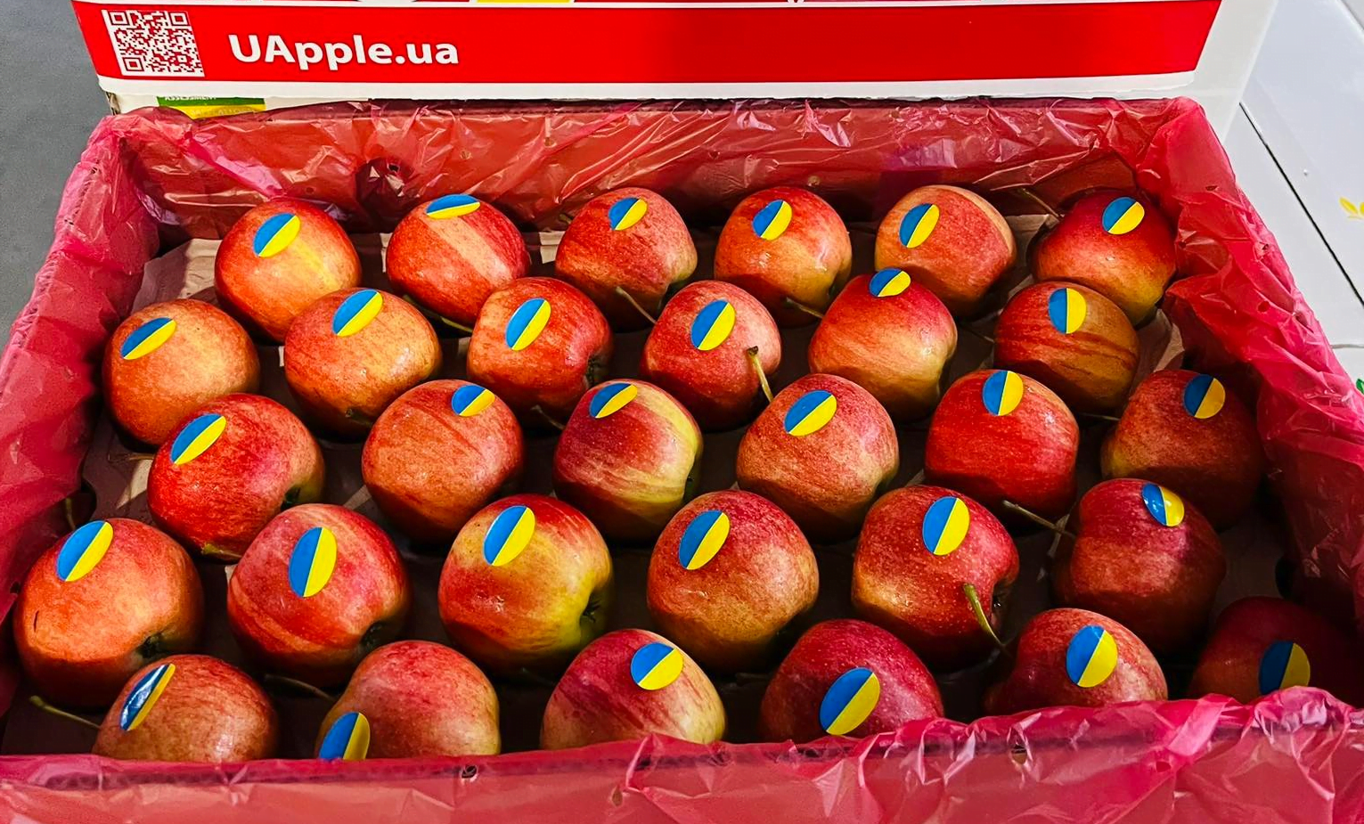 Which apple varieties are grown by leading Ukrainian farm? • EastFruit