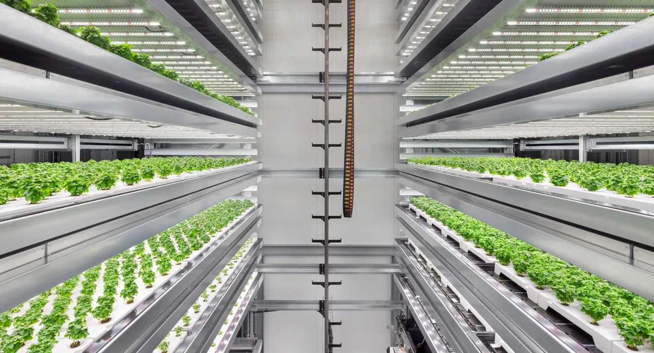 Best Practices and Lessons Learned of the EU vertical farming business ...