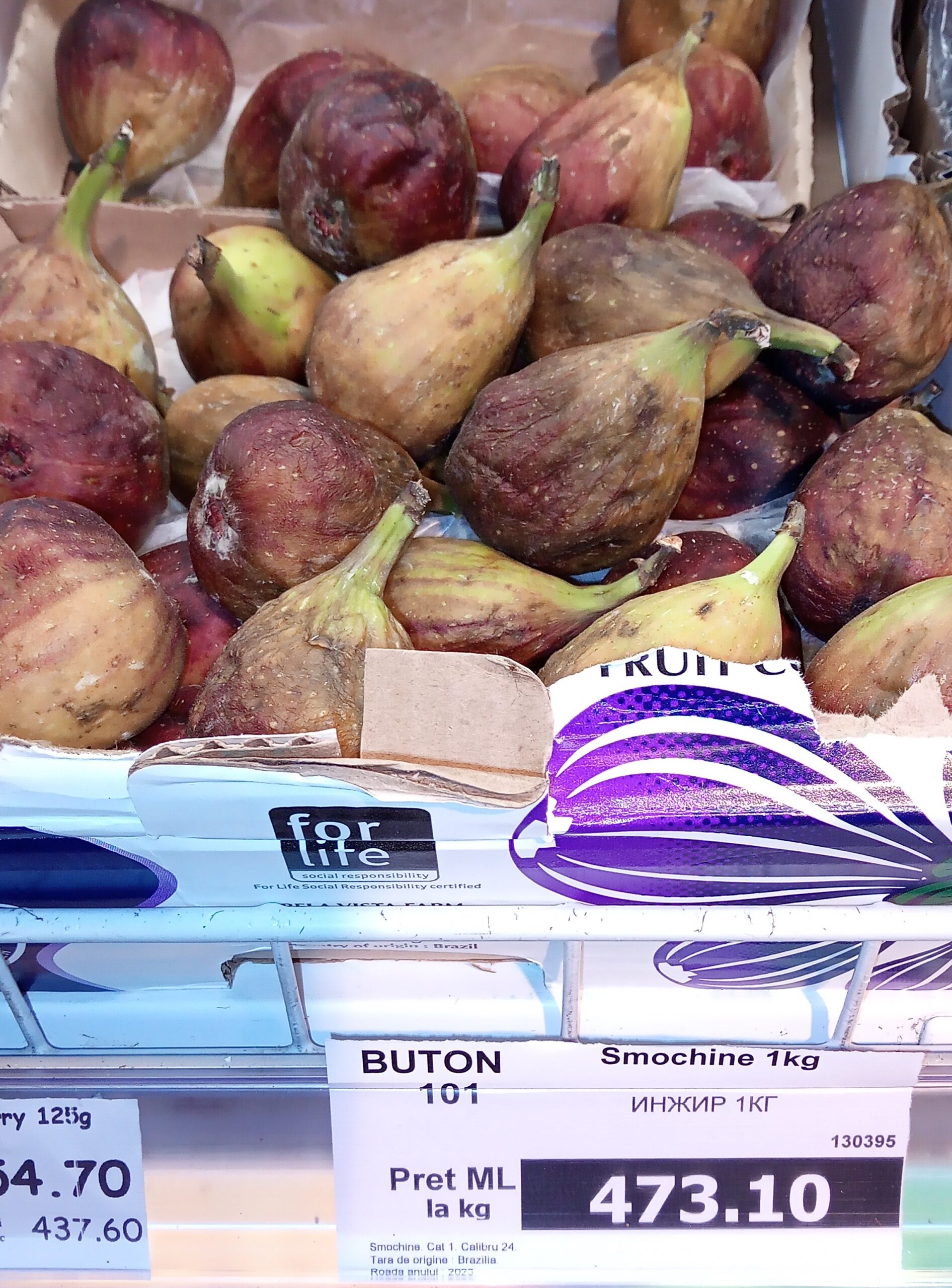 Figs can become a new niche product of Moldovan fruit growing - opinion ...