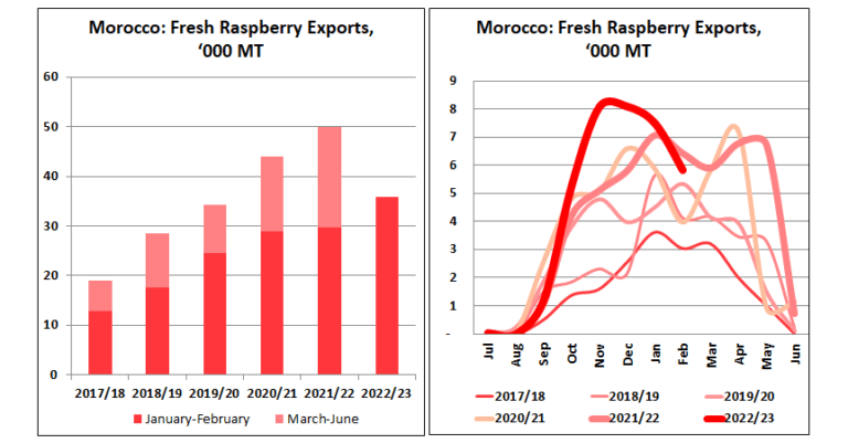 Morocco ranks 3rd in global ranking of fresh raspberry exporters ...