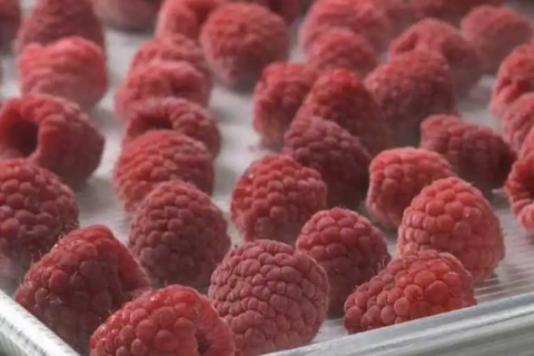 Top 20 Largest Fruit Importers and Key Global Import Trends – EastFruit ...