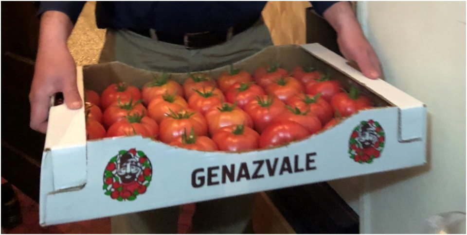 Pooling of foldable boxes in Georgia – pilot circular economy project ...