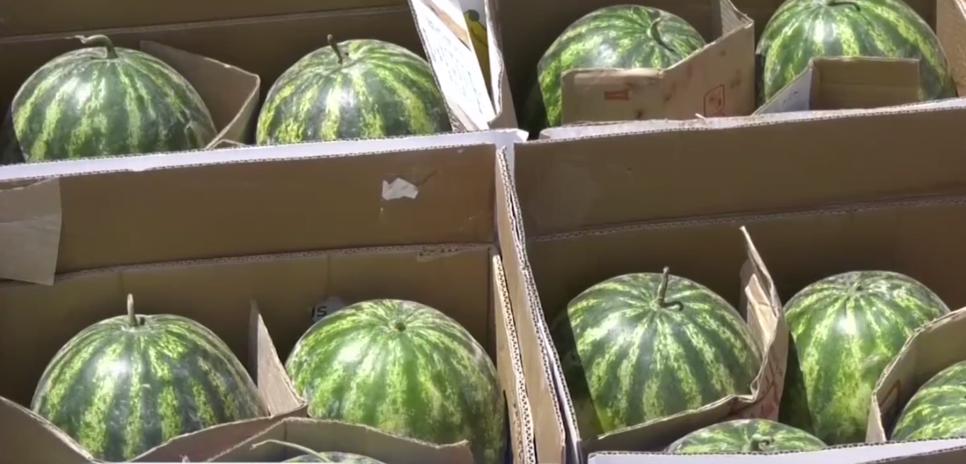 Uzbekistan to exceed 100,000 tons of watermelon exports for the first time • EastFruit
