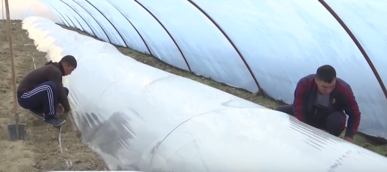 Uzbekistan to exceed 100,000 tons of watermelon exports for the first time • EastFruit