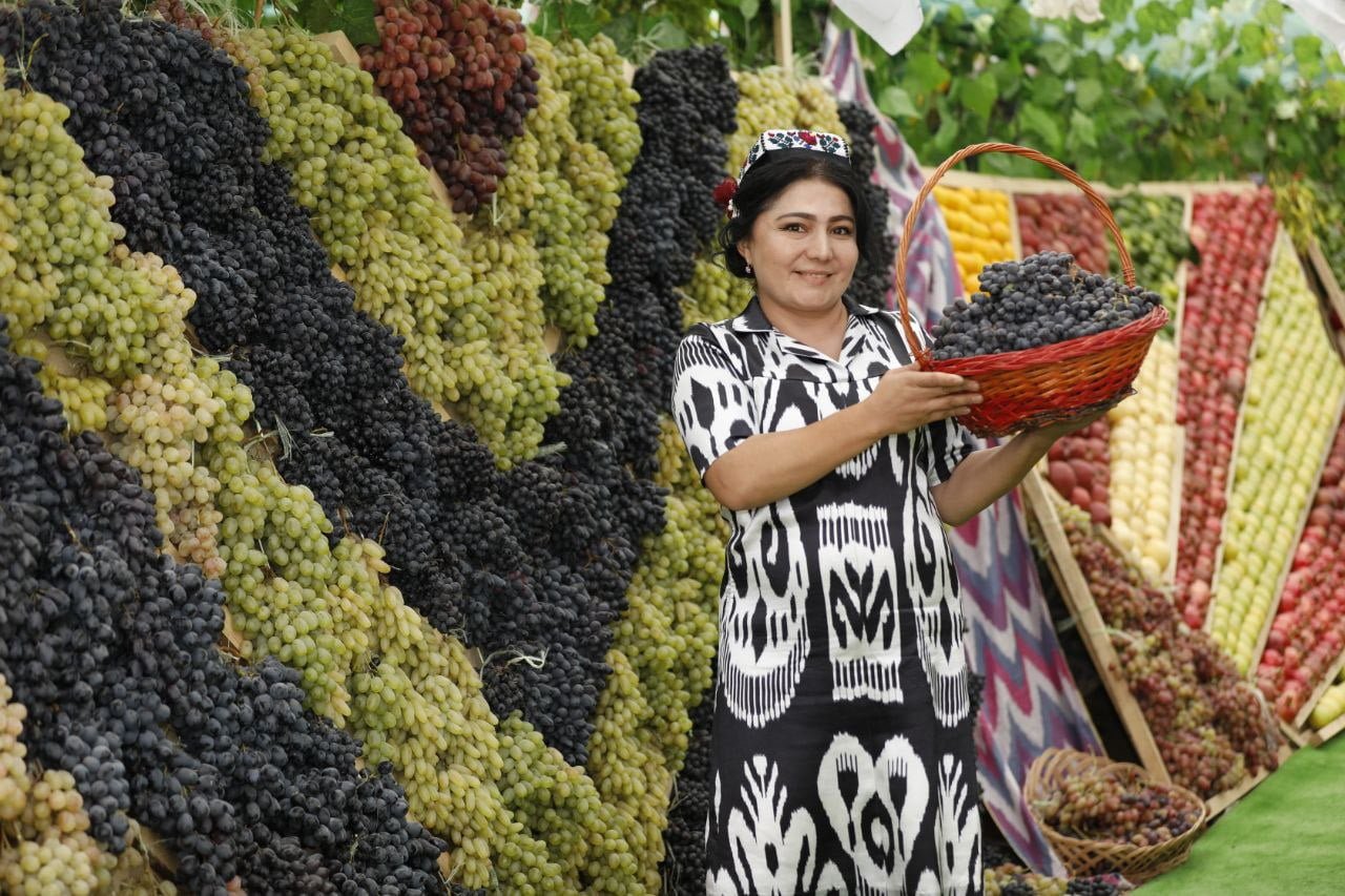 Breaking into the US Market: The Success of Uzbekistan’s Table Grapes ...