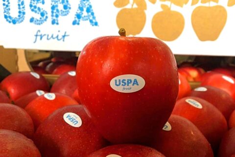 Top-25 largest importers of fresh onions and global import trends ...