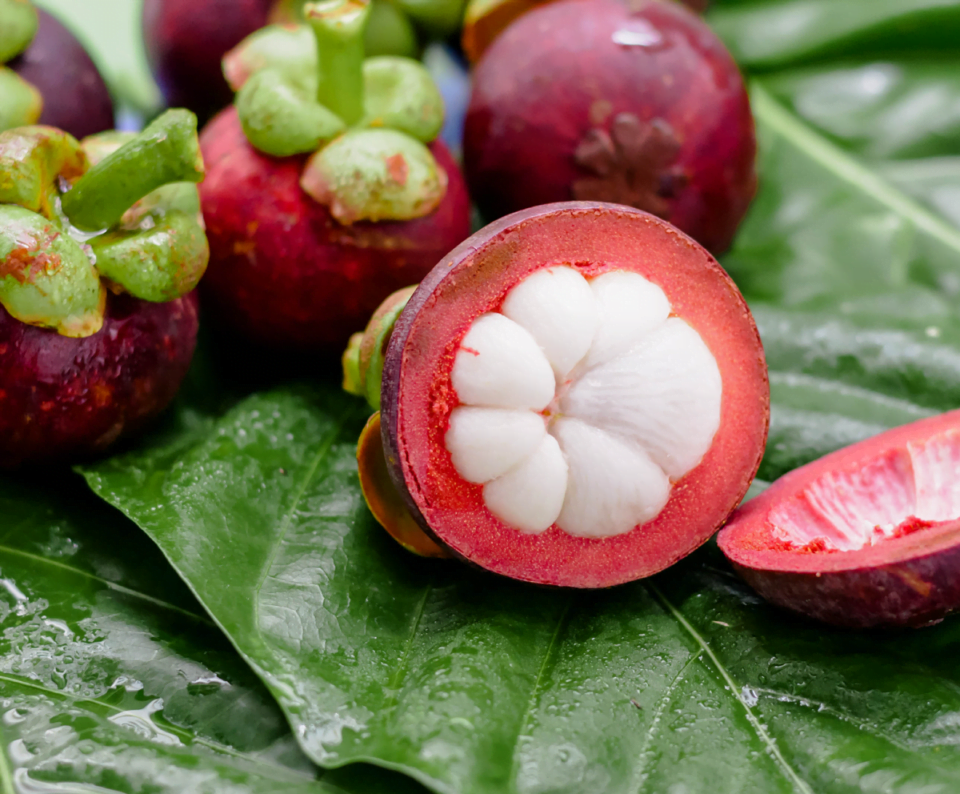 Top-10 most unusual fruits rapidly gaining popularity - EastFruit ...