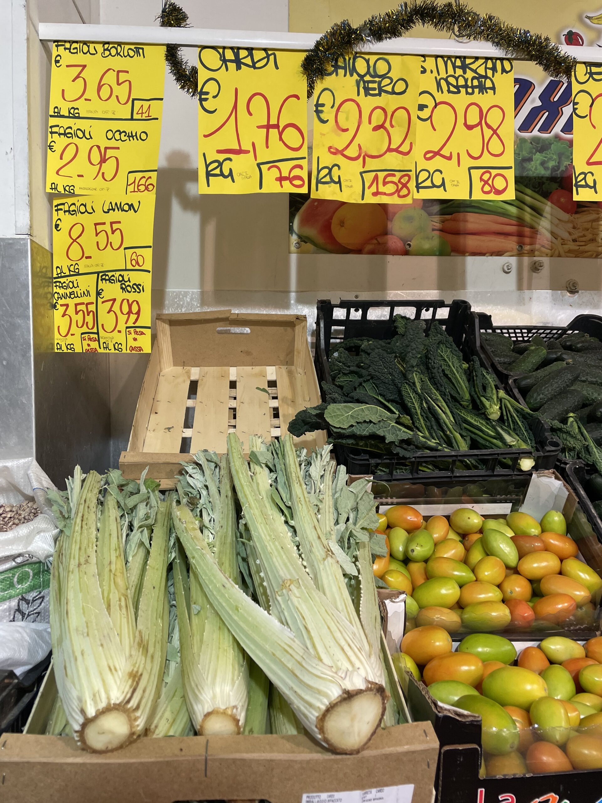 Winter Niche Vegetable: Cardoon – Edible Thistle Cultivated in ...