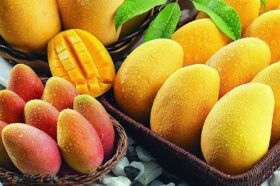 Top 20 Largest Fruit Importers and Key Global Import Trends – EastFruit ...