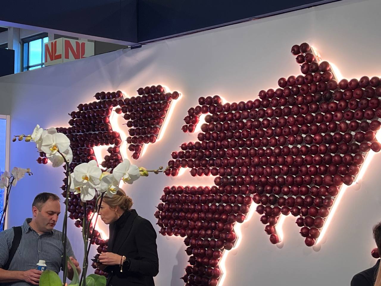 Fruit Logistica 2024: EastFruit’s photo highlights • EastFruit