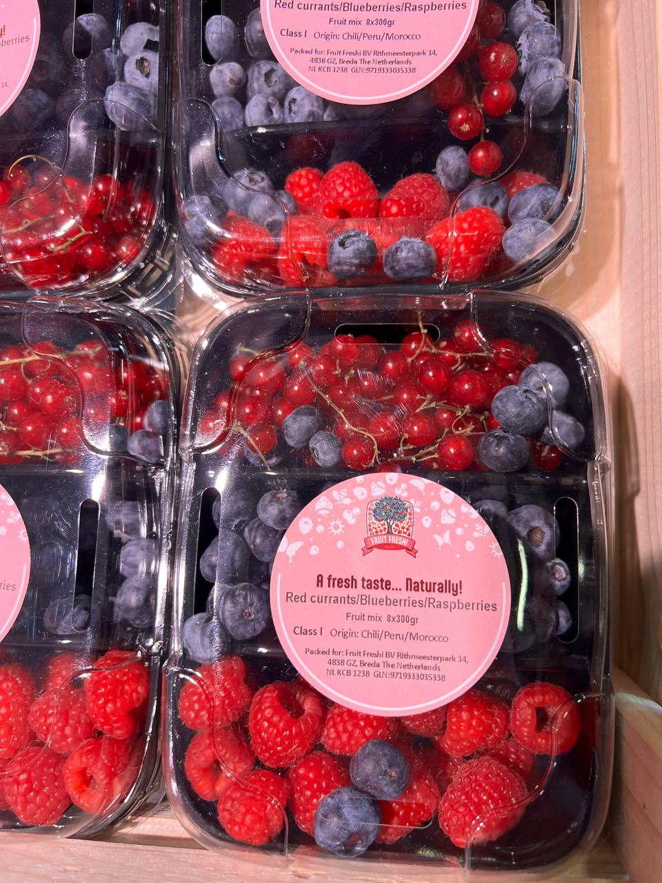 Fruit Logistica 2024: EastFruit’s photo highlights • EastFruit