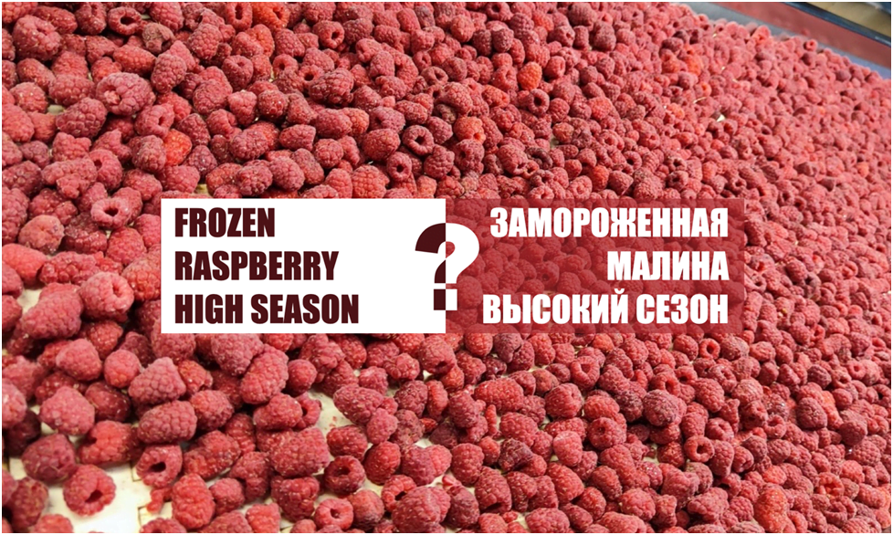 Frozen raspberry frenzy in European Market: a price overview • EastFruit
