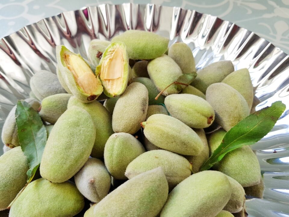 The World's most dangerous fruits and vegetables: EastFruit's Top List ...
