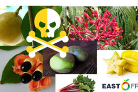 Top 20 Largest Fruit Importers and Key Global Import Trends – EastFruit ...