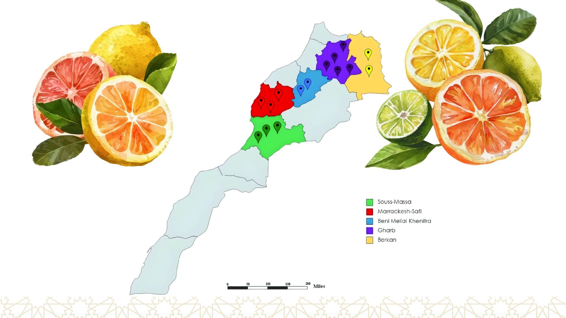 Morocco's Citrus Industry: A Global Powerhouse Fueling Markets with ...