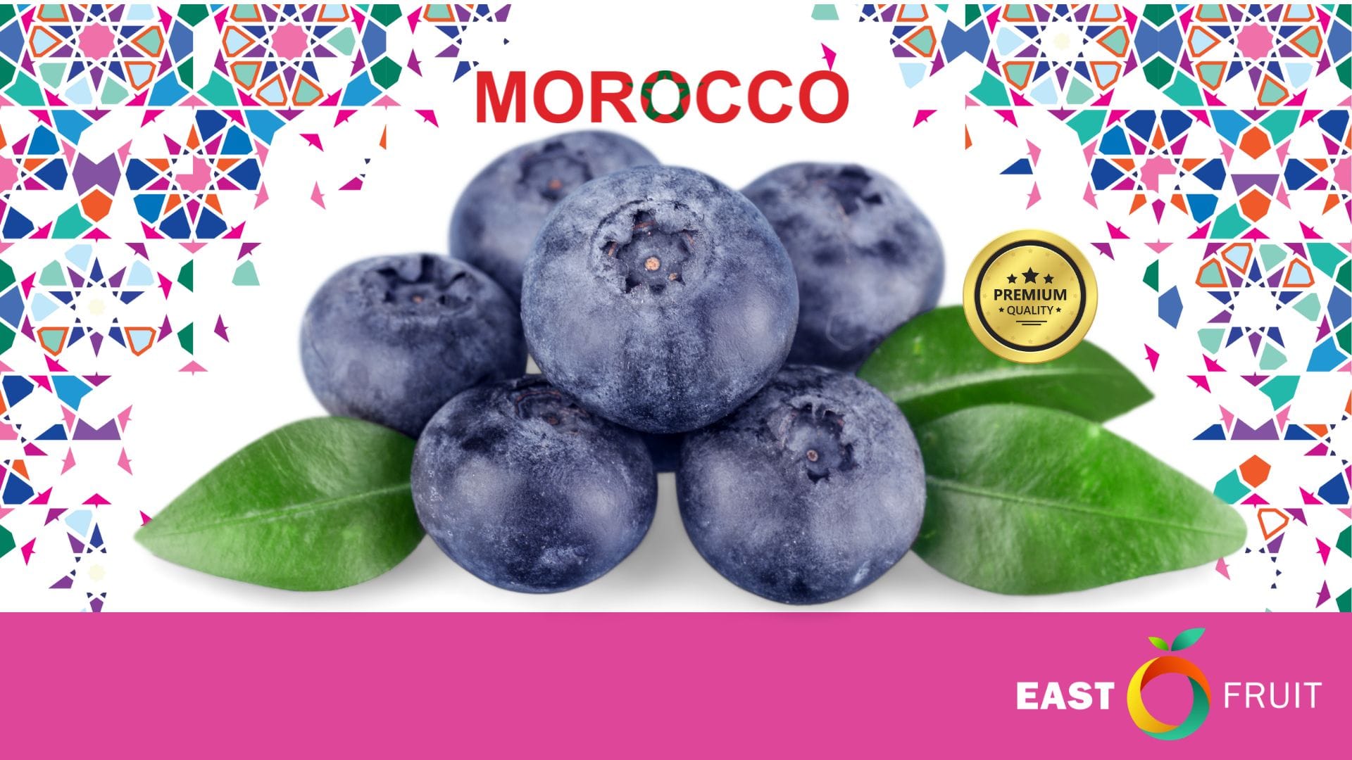 Moroccan Blueberries: A Global Success Story Driven by a Unique Selling ...