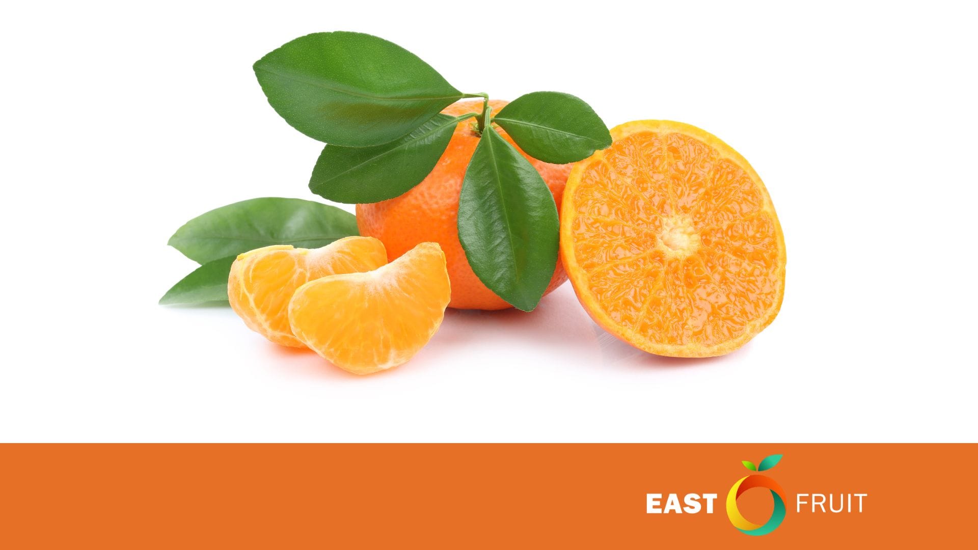 Moroccan Nadorcott Mandarin: A Citrus Star Expanding Global Reach • EastFruit