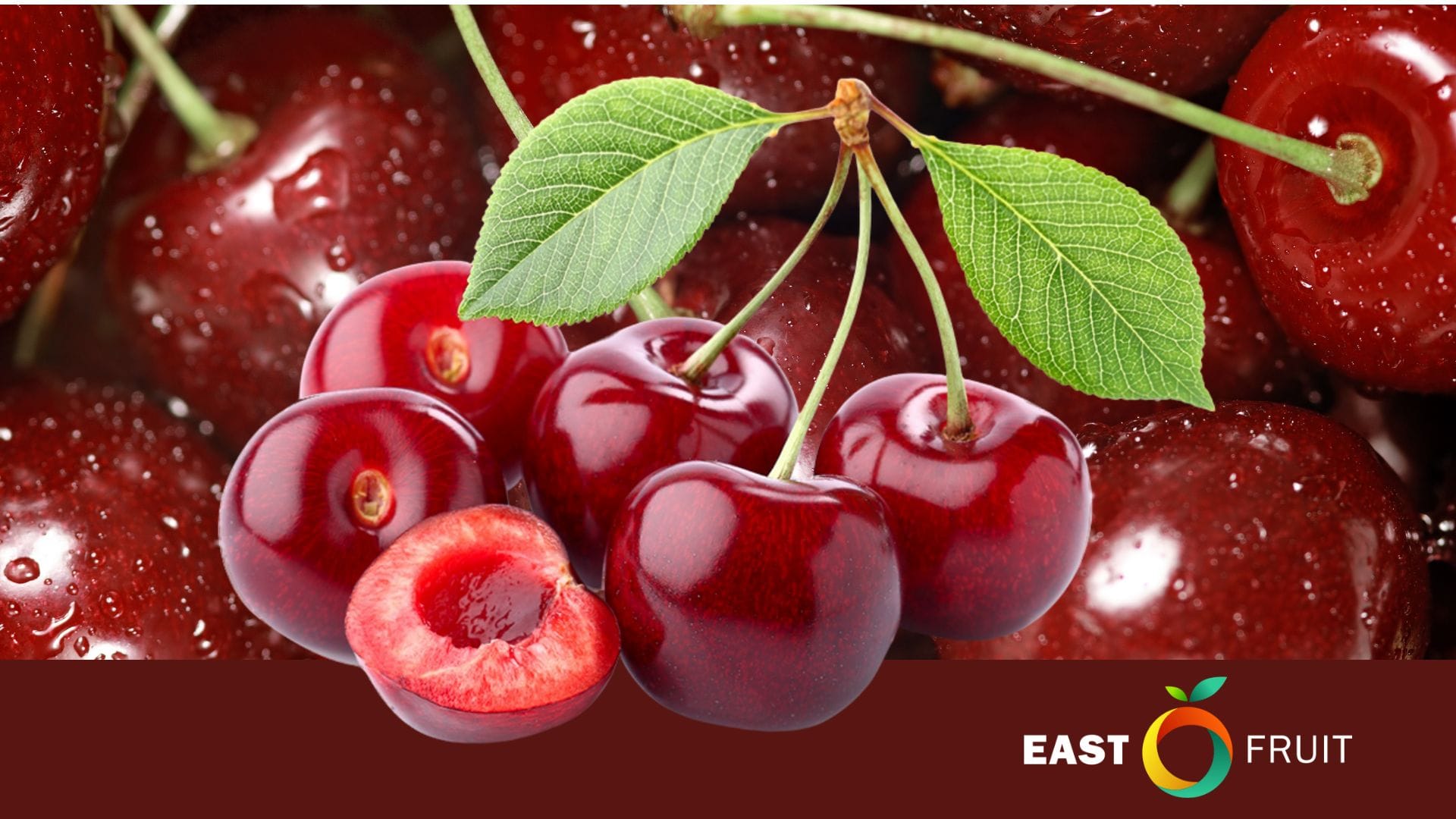 First Wholesale Batches of Local Sweet Cherries Appear on the Ukrainian ...