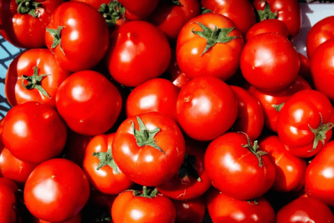 Top 20 Largest Fruit Importers and Key Global Import Trends – EastFruit ...