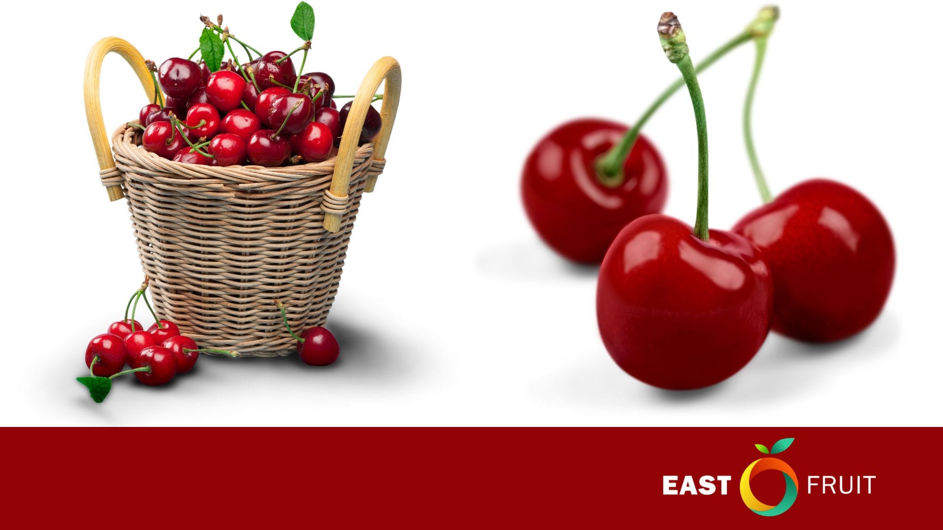 Sweet and Sour Cherries Will Be in Short Supply in 2025, with Prices Set to Soar – EastFruit ...