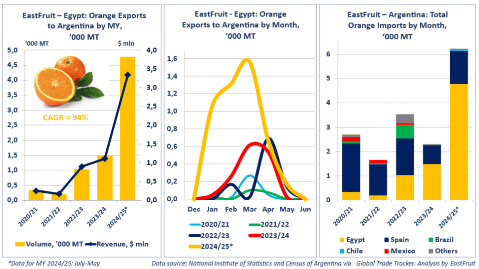 Egypt sets record in orange exports to Argentina • EastFruit