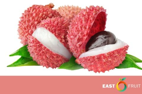 Top 10 fruit & vegetable treasures of Egypt: Part 1 – local mango or ...