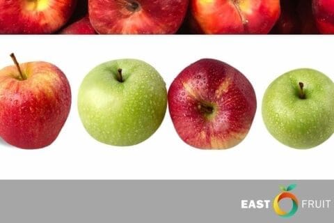 The World's most dangerous fruits and vegetables: EastFruit's Top List ...