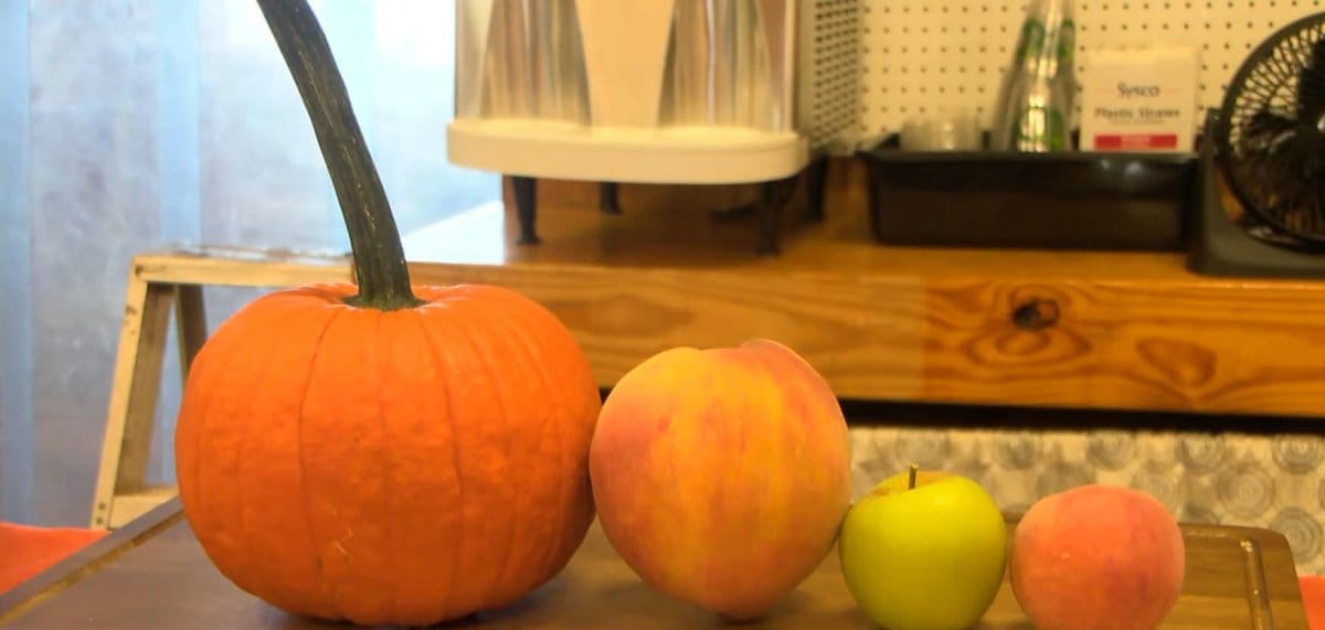 Virginia orchard's massive peach breaks world record (video) • EastFruit