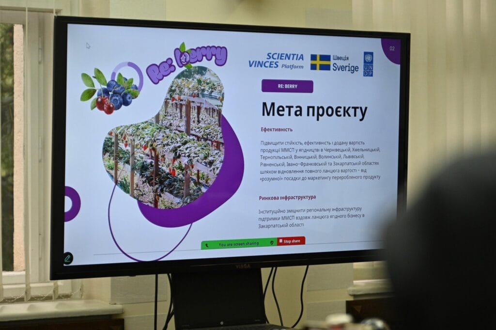 Проект RE:BERRY в Украине: новые возможности для развития ягодного ...