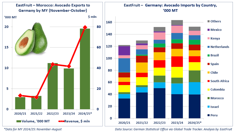 Morocco doubles avocado exports to Germany, sets new seasonal record ...