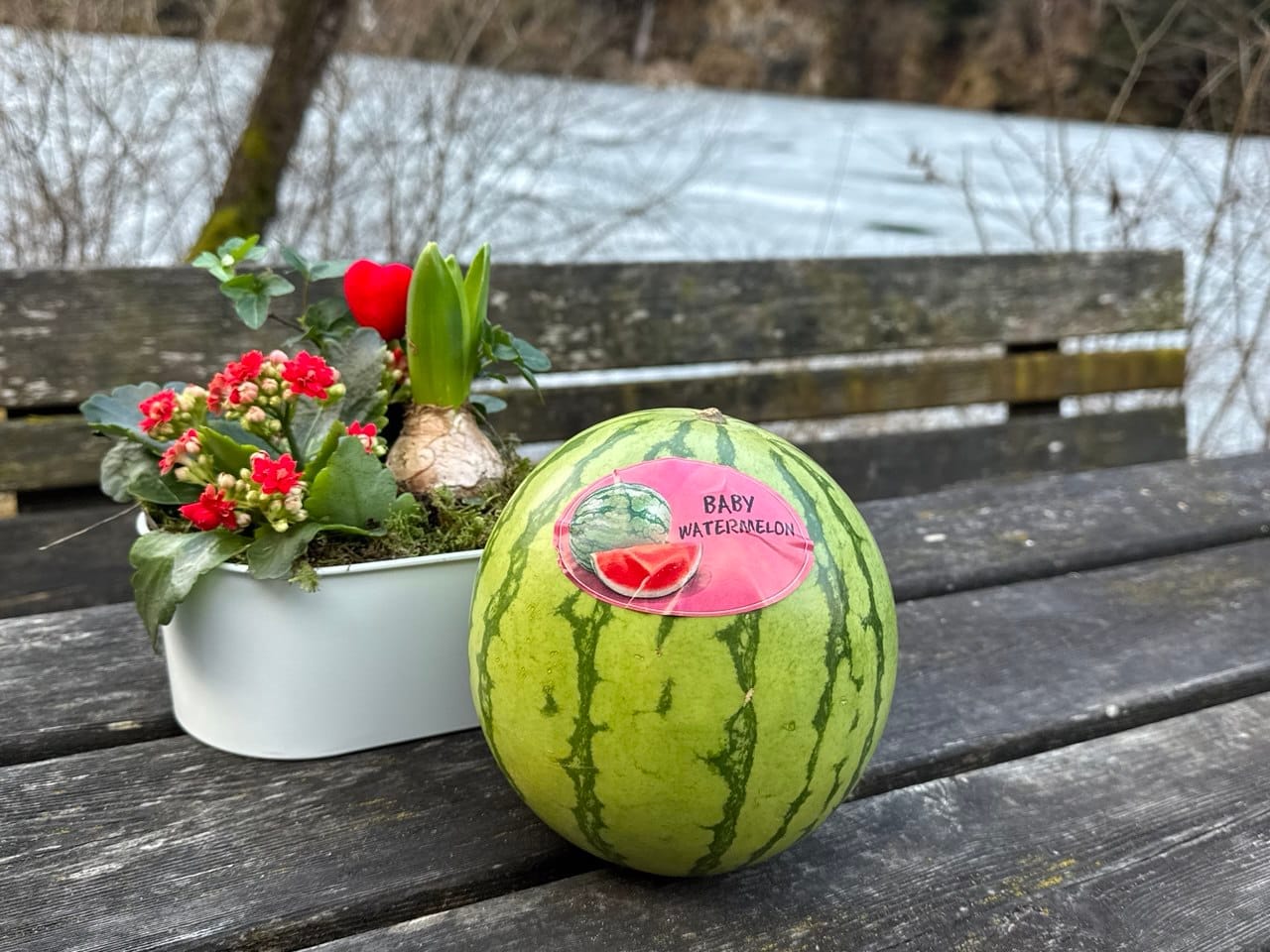 Baby Watermelons in Europe in Winter: How Brazil Is Closing the “Fruit ...