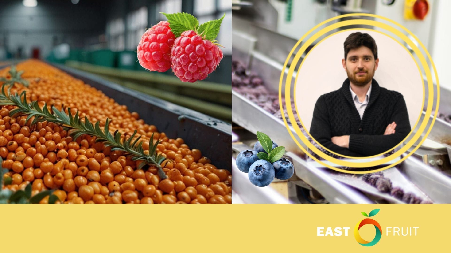 Processing of berries, fruits and vegetables gives Ukraine a major ...