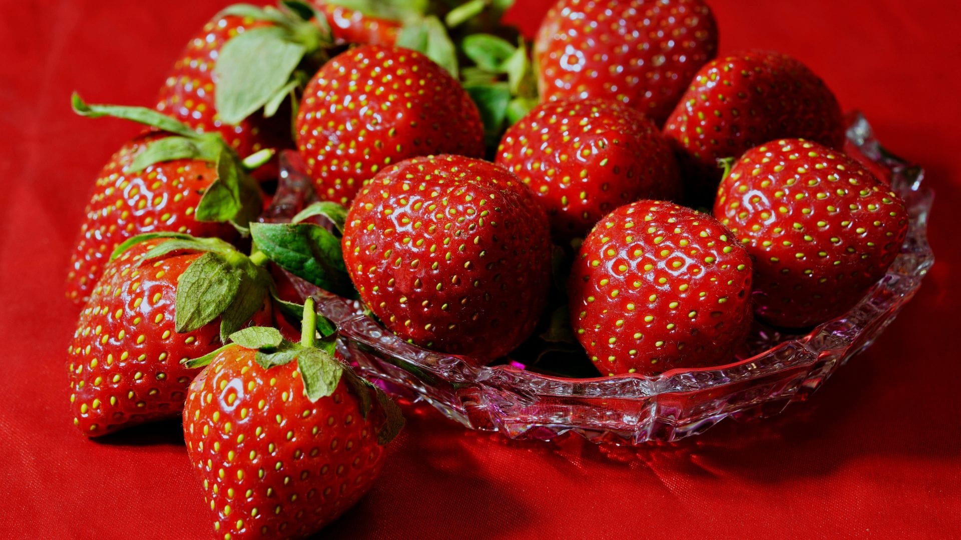 Global strawberry market 2026: why timing, quality and cost control are ...