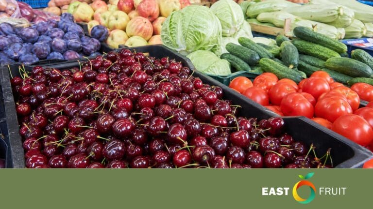 Cherry sales geography expands, tomatoes and cucumbers become cheaper ...