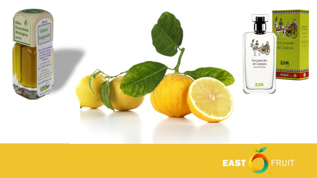 Calabria’s bergamot: how a perfume icon is becoming a new food category ...
